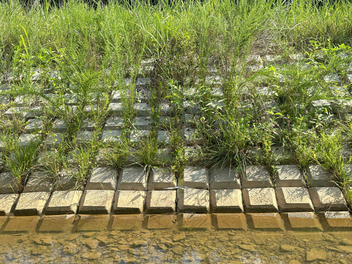 Submar Solutions – Submar